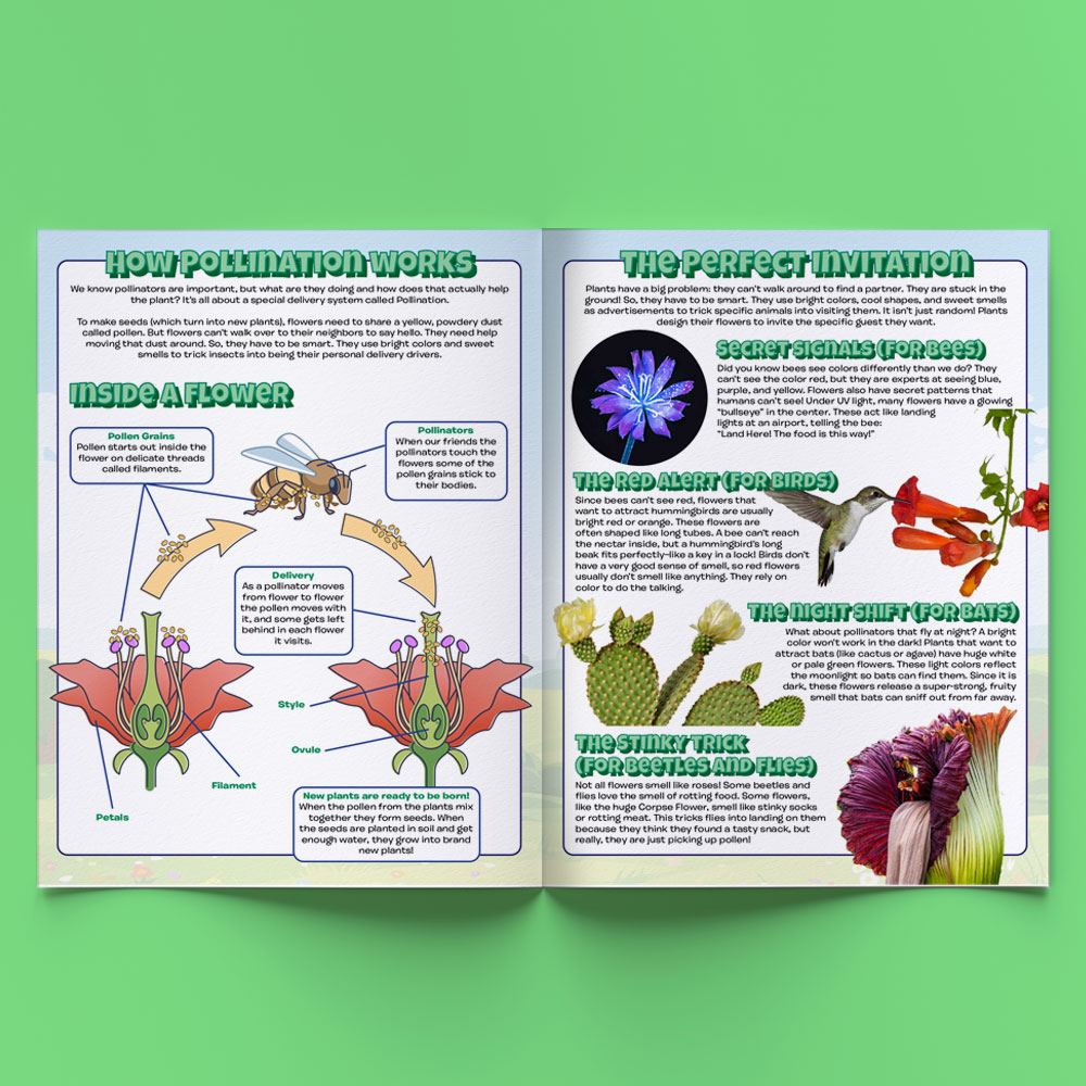 The Fascinating World Of Pollinators - Education & Outreach